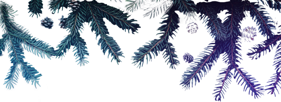 Trinity | Serving Baltimore Together